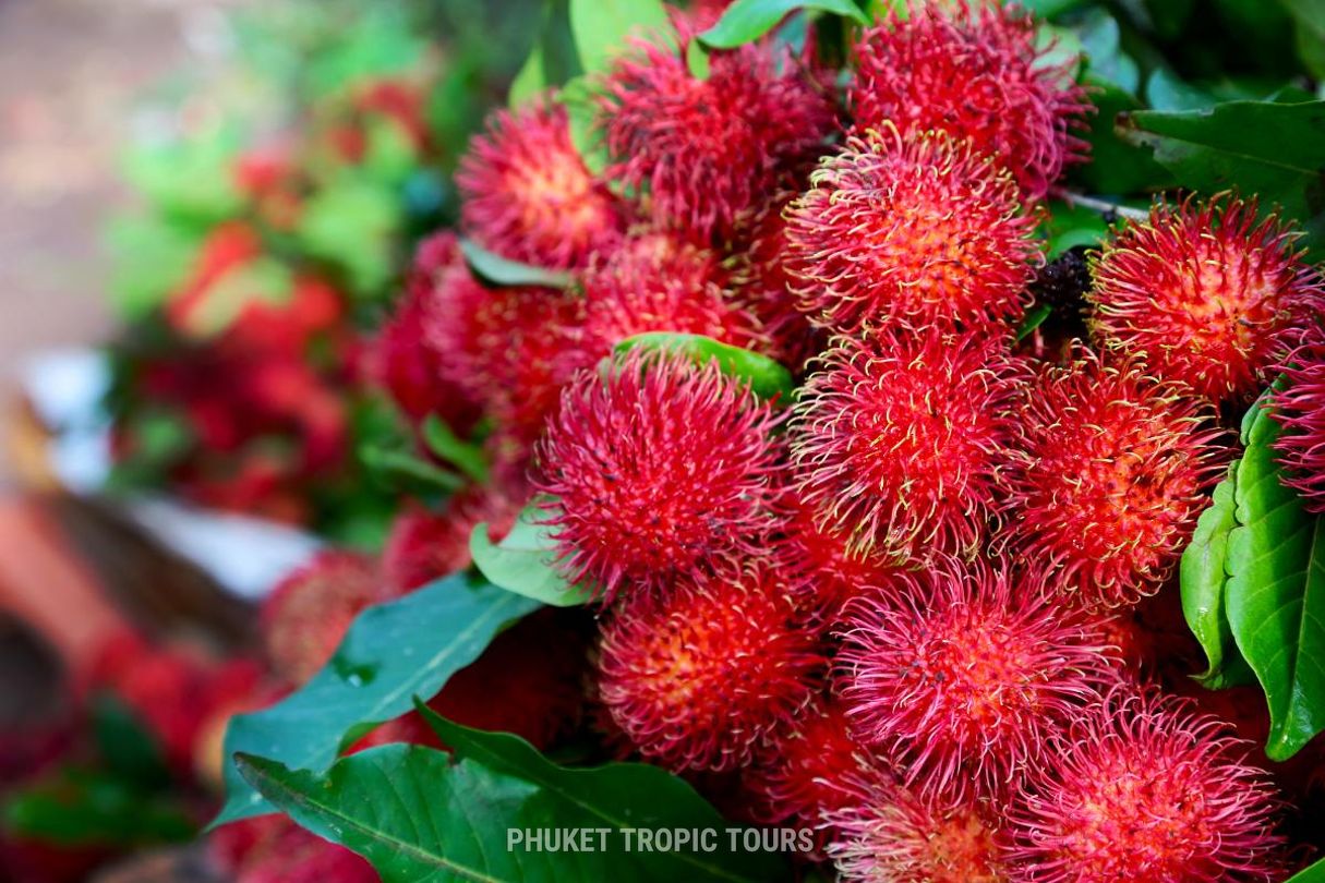 Thai Fruits 🥭 Seasonal Guide 2025 – Mango, Durian & More