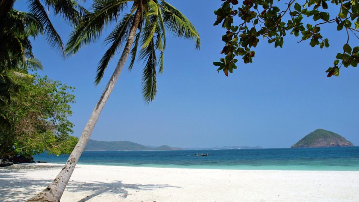 Cora Island Tour From Phuket 1 Day ️ Prices, Review