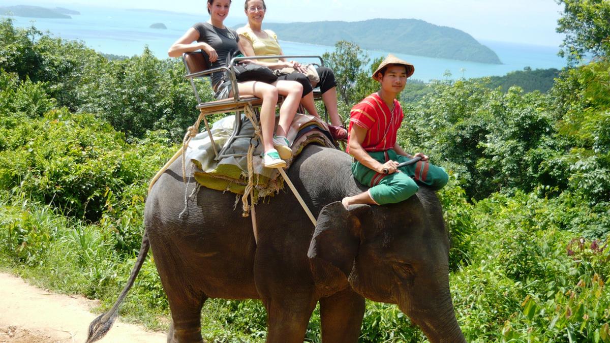 Elephant Trekking Phuket 2022 ️ Prices, Review